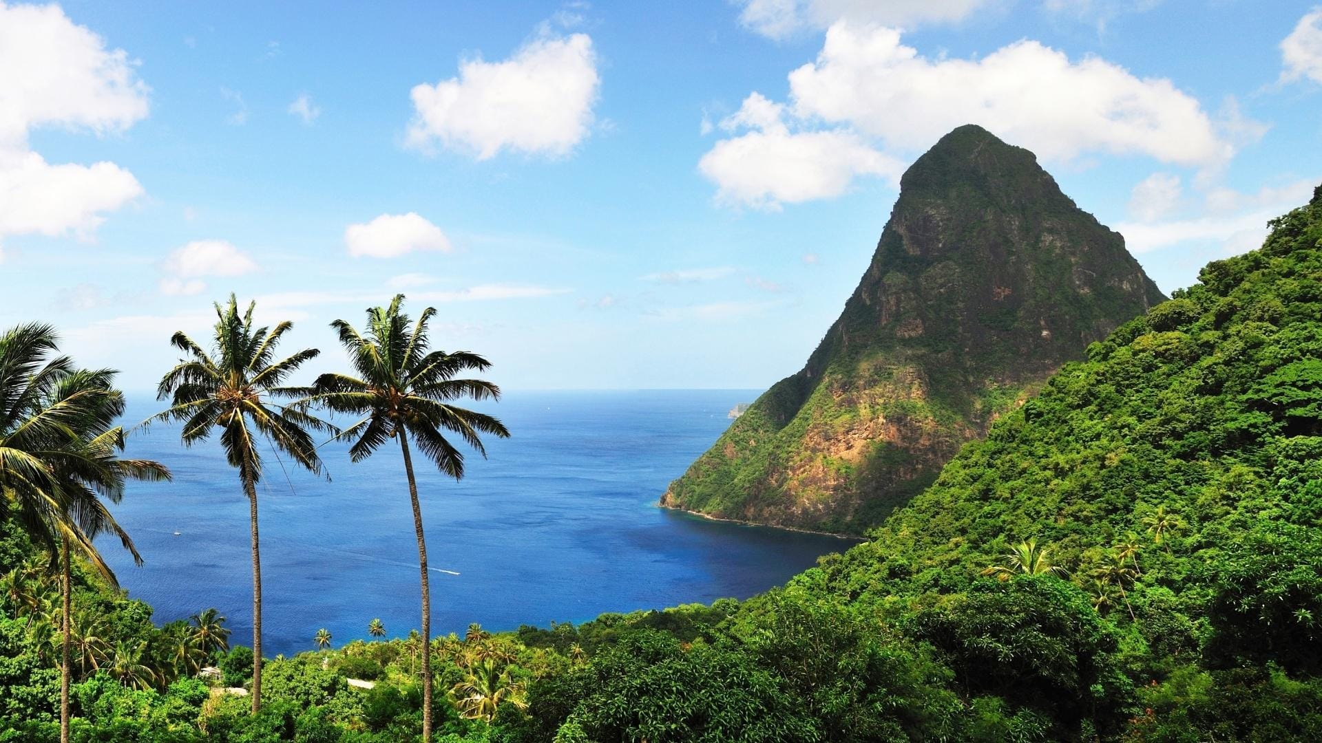 Island Life Caribbean | The Best Of The Caribbean