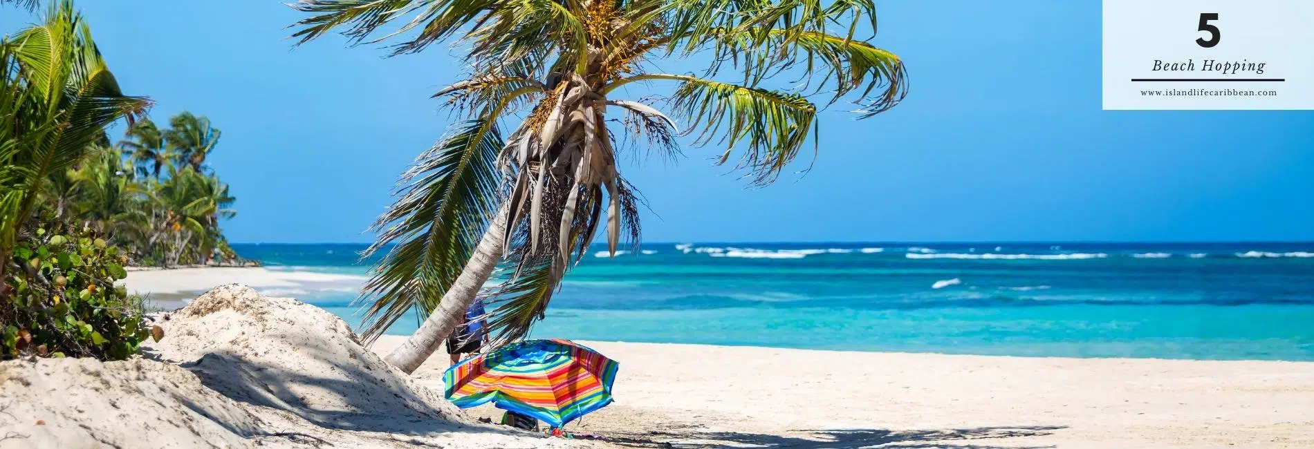 What To Do In Puerto Rico? | Puerto Rico Visitors Guide 2024