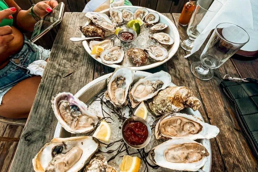 What To Do In Puerto Rico? | Puerto Rico Visitors Guide 2025