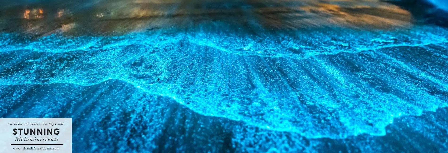 Puerto Rico Bioluminescent Bay Guide | February 2025