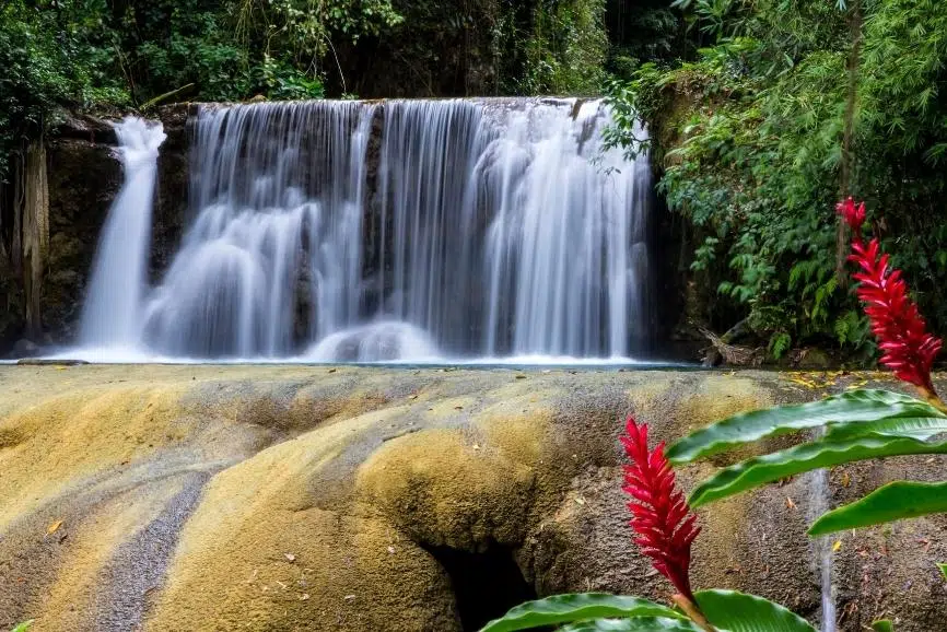 The Best Jamaica Waterfalls In October 2025 (Ultimate Guide)