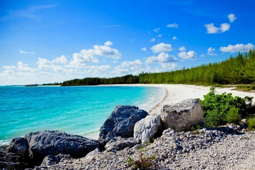 Harbour Island Visitors Guide | Island Life Caribbean