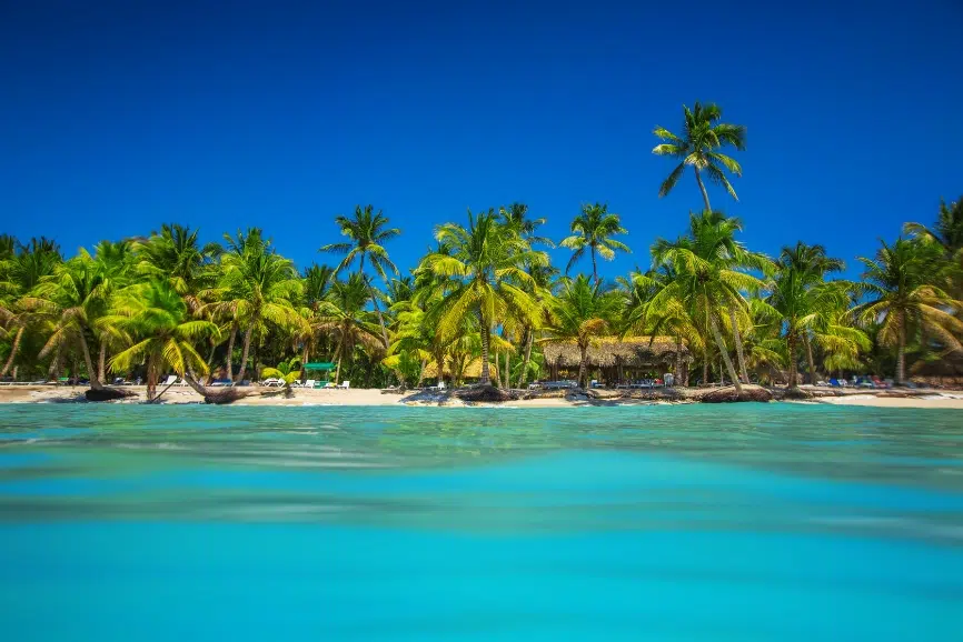 What To Do In Dominican Republic? | Dominican Republic Visitors Guide 2025