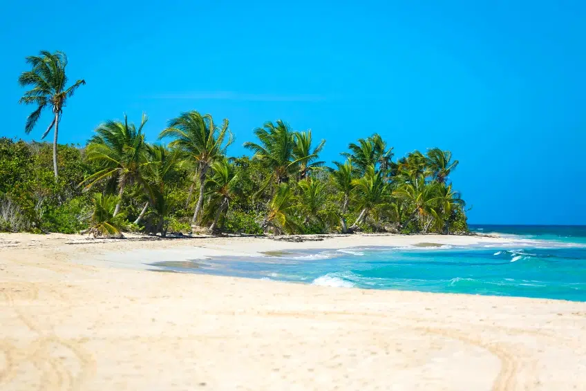 What To Do In Puerto Rico? | Puerto Rico Visitors Guide 2025