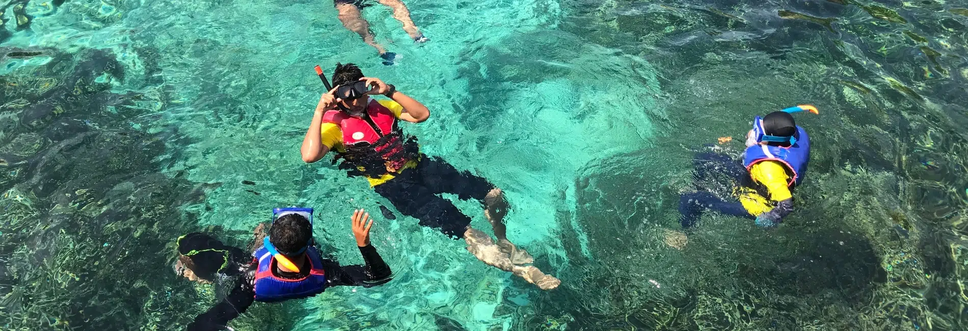 Bimini Bahamas Visitors Guide | May 2026