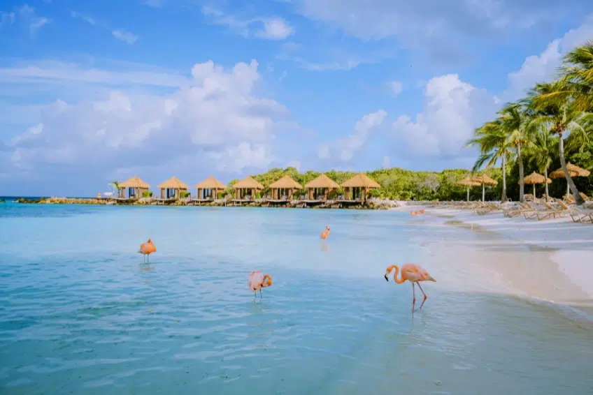 12 Best Aruba Hotels On The Beach for March 2025