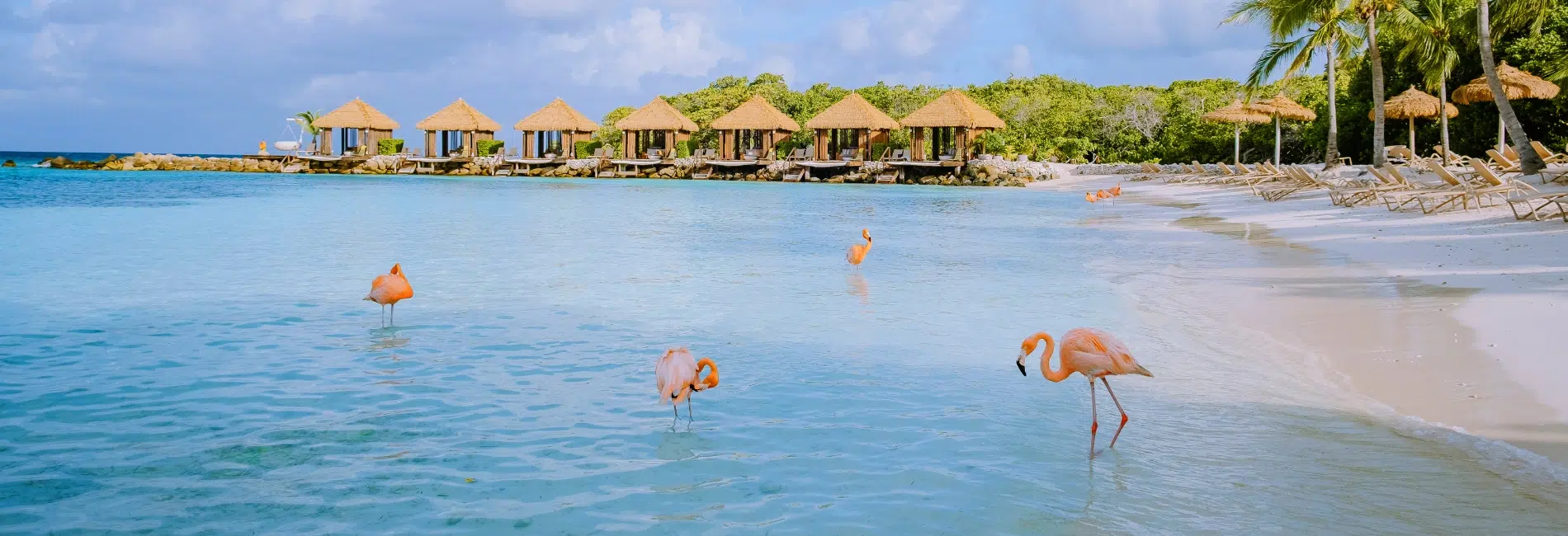 12 Best Aruba Hotels On The Beach for March 2025