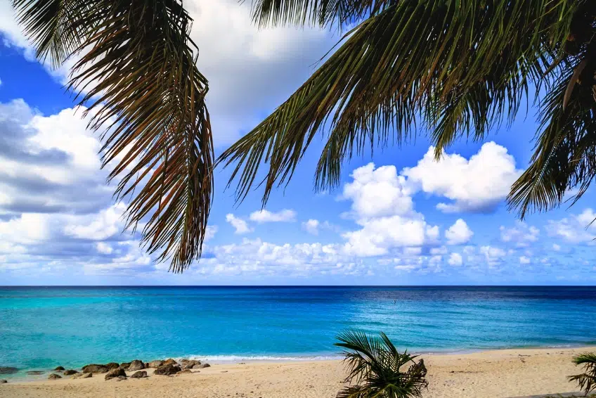 Bimini Bahamas Visitors Guide | October 2025