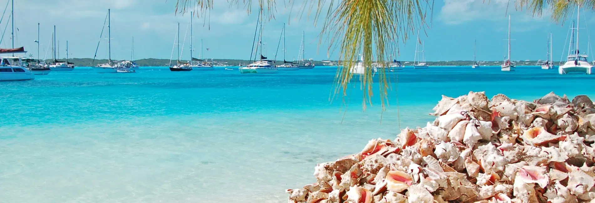 Bimini Bahamas Visitors Guide | October 2025