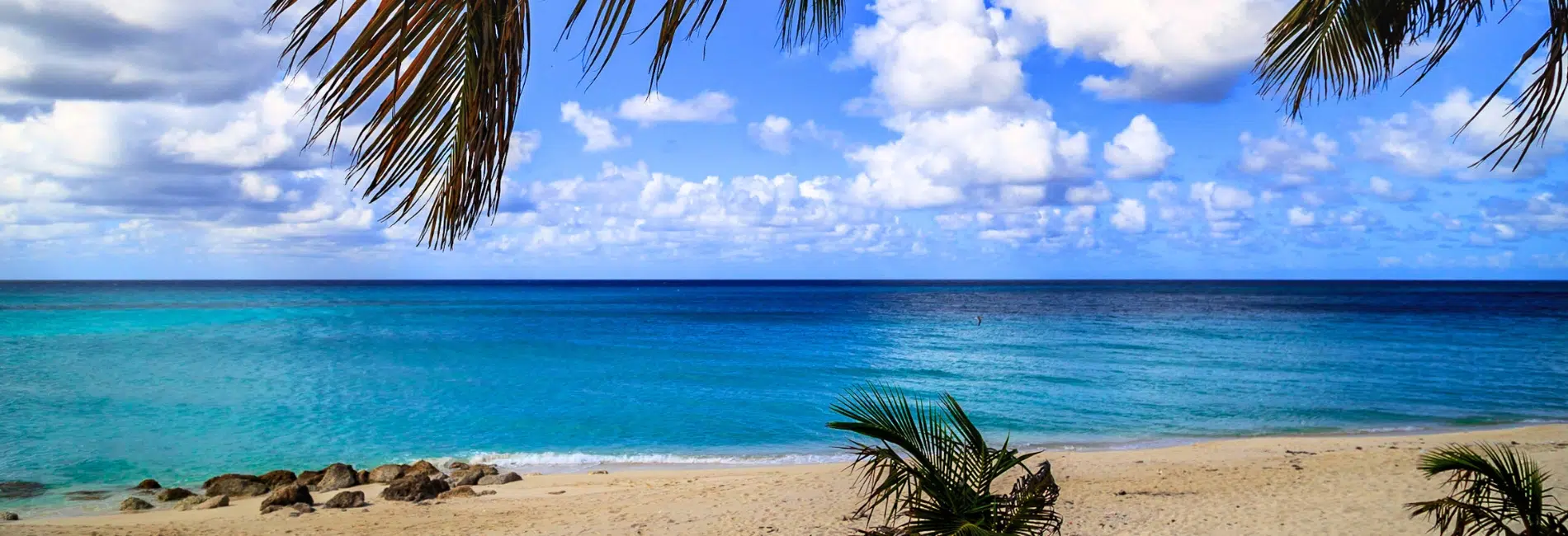 Bimini Bahamas Visitors Guide | October 2025