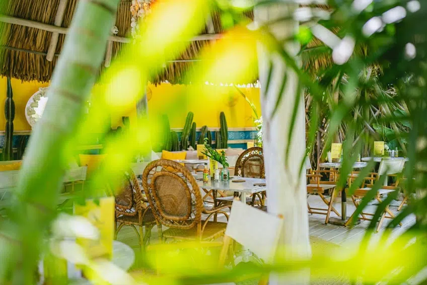 12 Best Aruba Hotels On The Beach for October 2025