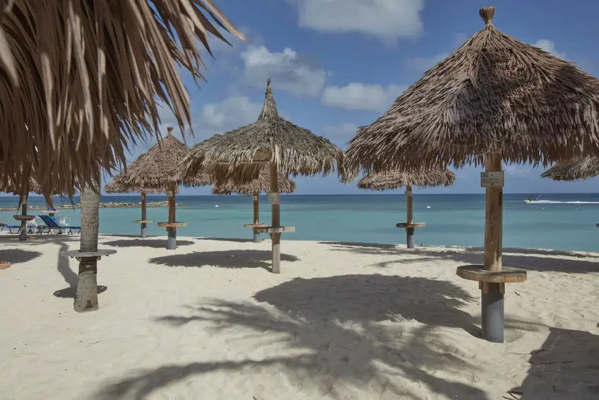 12 Best Aruba Hotels On The Beach for March 2025